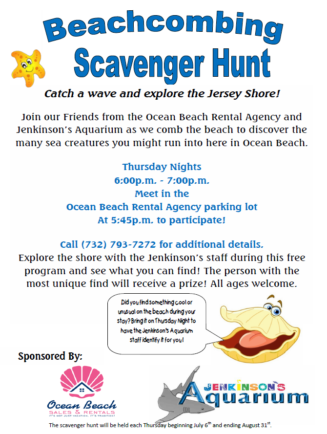 Join the Beachcombing Scavenger Hunt and Explore Local Sea Creatures ...
